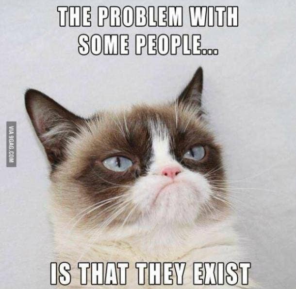 21 Best Grumpy Cat Memes And Funny Quotes About Love And Life Yourtango